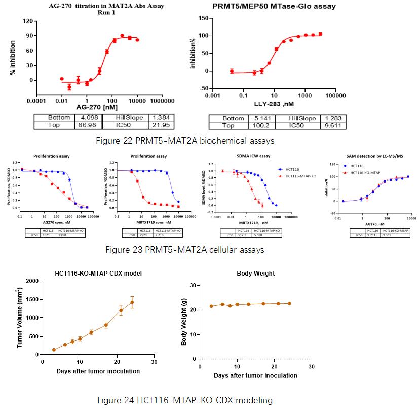 Cell panel screening_immune assay testing_western blot testing_Cell ...