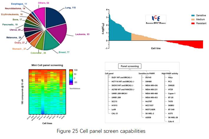 Cell panel screening_immune assay testing_western blot testing_Cell ...
