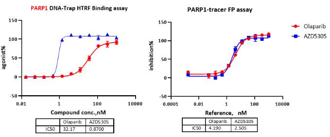 Cell panel screening_immune assay testing_western blot testing_Cell ...